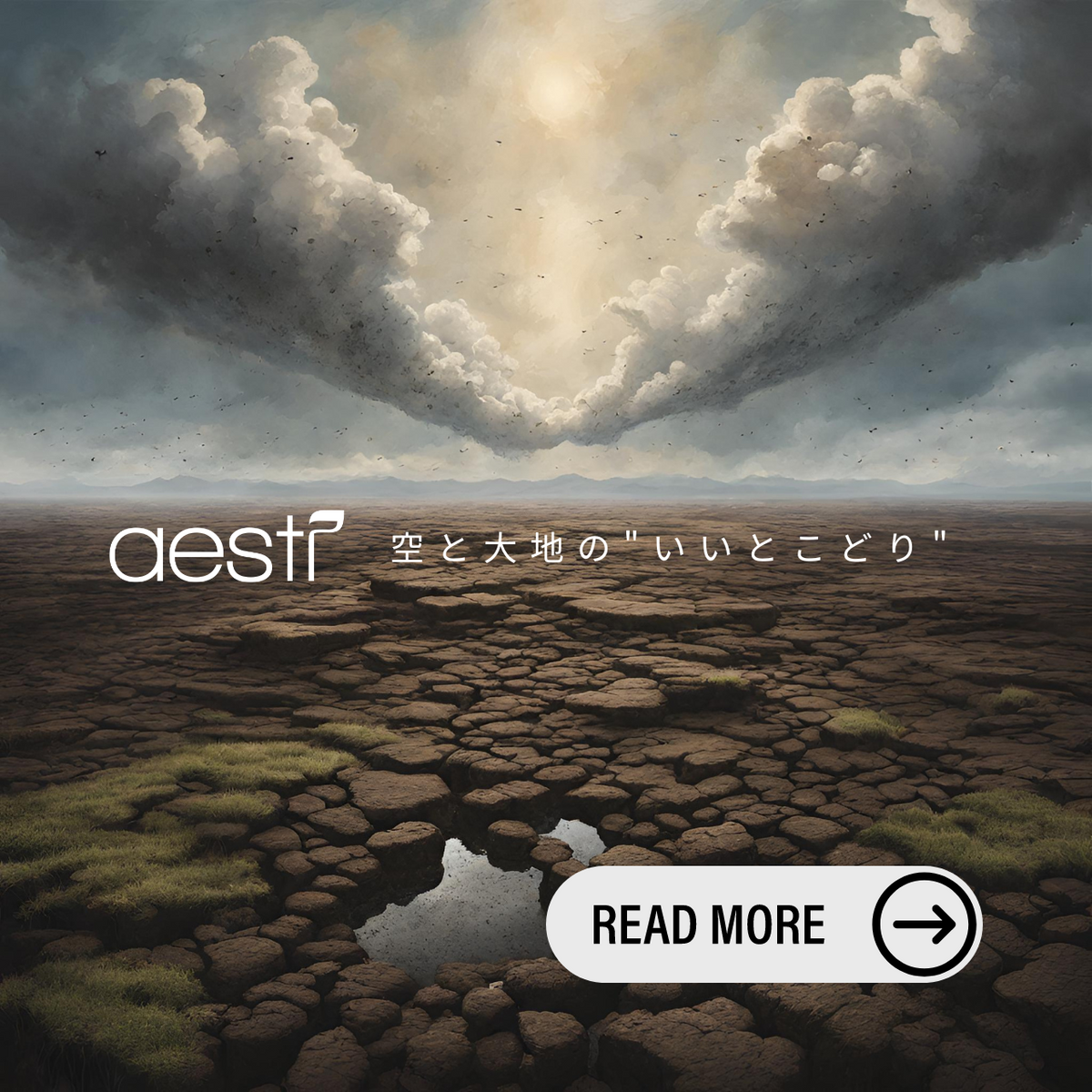 ピートについて – aesti