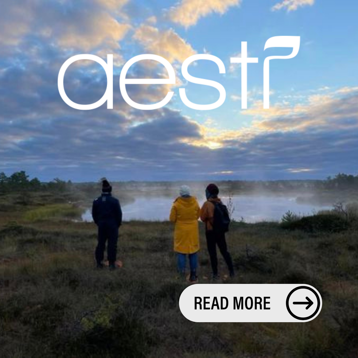 エストニアの紹介 – aesti